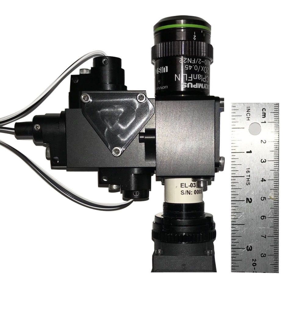 Welcome to Etaluma fluorescence microscopy for live-cell imaging
